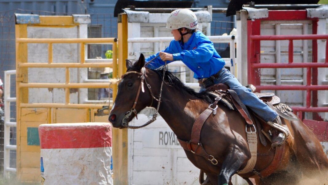 Rodeo action to hit PG's Exhibition Place this weekend : My Prince ...