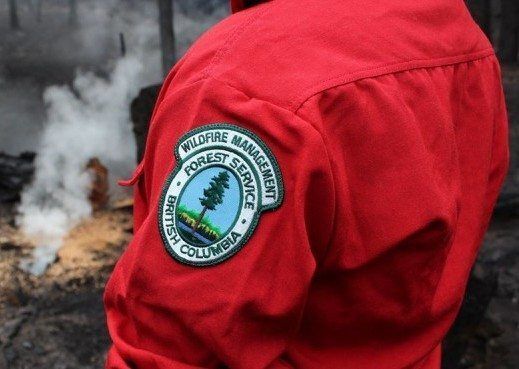 Month-long pile burning operation near PG to kickoff today : My Prince ...